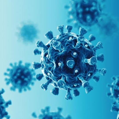 Welcome to BME at Rensselaer | Biomedical Engineering